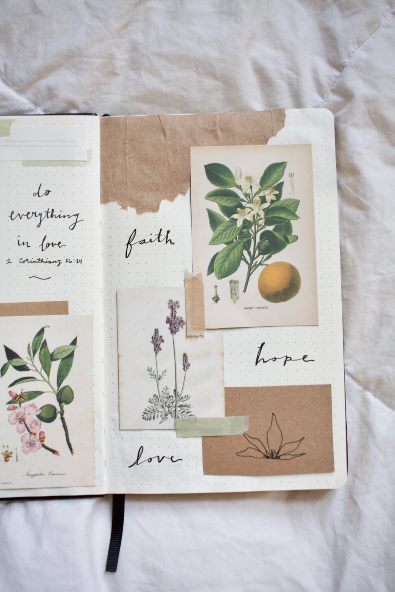 🌱 Healing Roots – What’s Growing in the Soil of Your Heart? – Monday ...